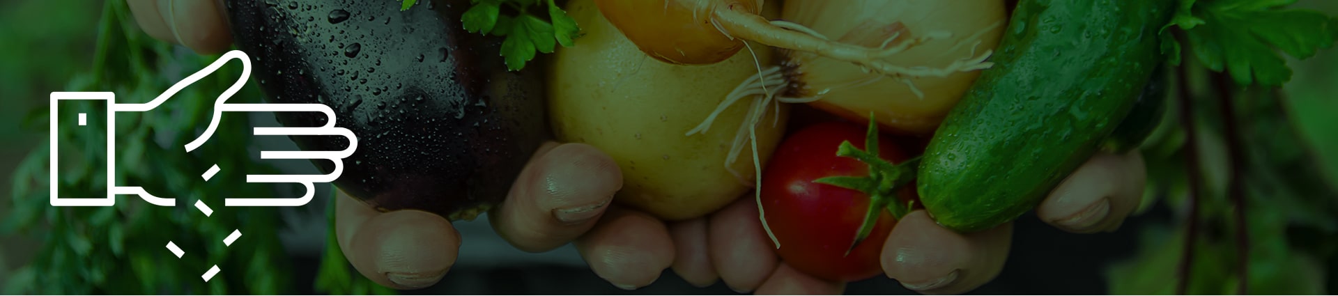 Bonus tree planting program with green garden fundraising - Make It Sow